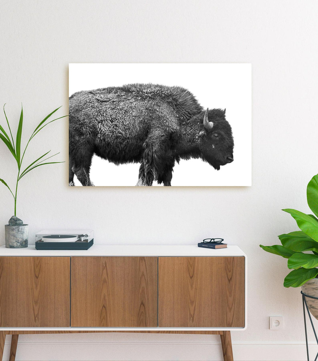 Buffalo Canvas Print - American Buffalo Wall Art, Black and White, Bis ...